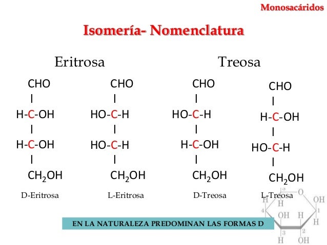 ORGANIC CHEMISTRY ^-^: TUGAS TERSTRUKTUR MATERI MONOSAKARIDA DAN ...