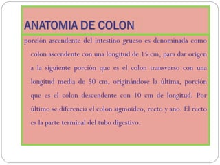 Estructura de colon | PPT