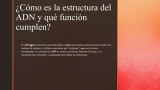 Estructura del ADN.pptx