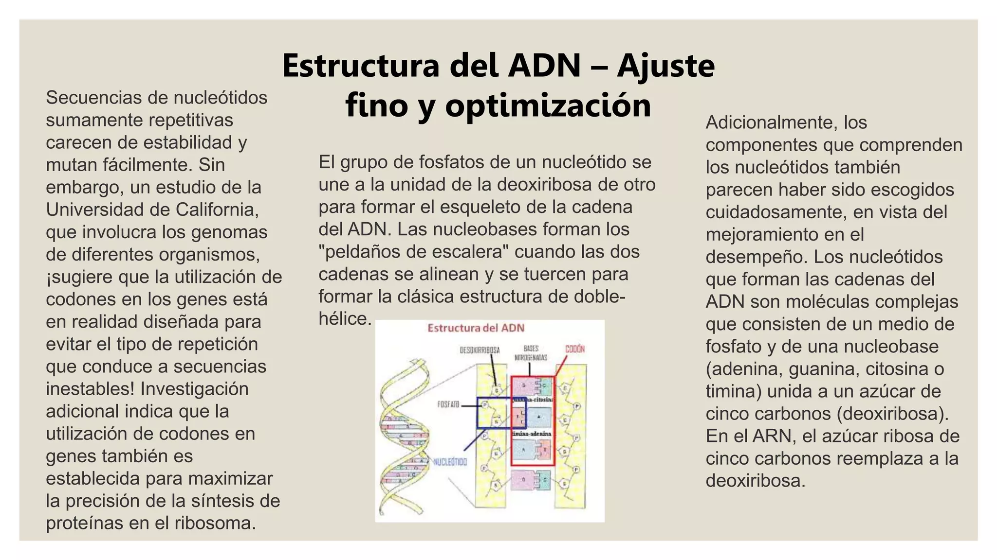ESTRUCTURA DEL ADN.pptx
