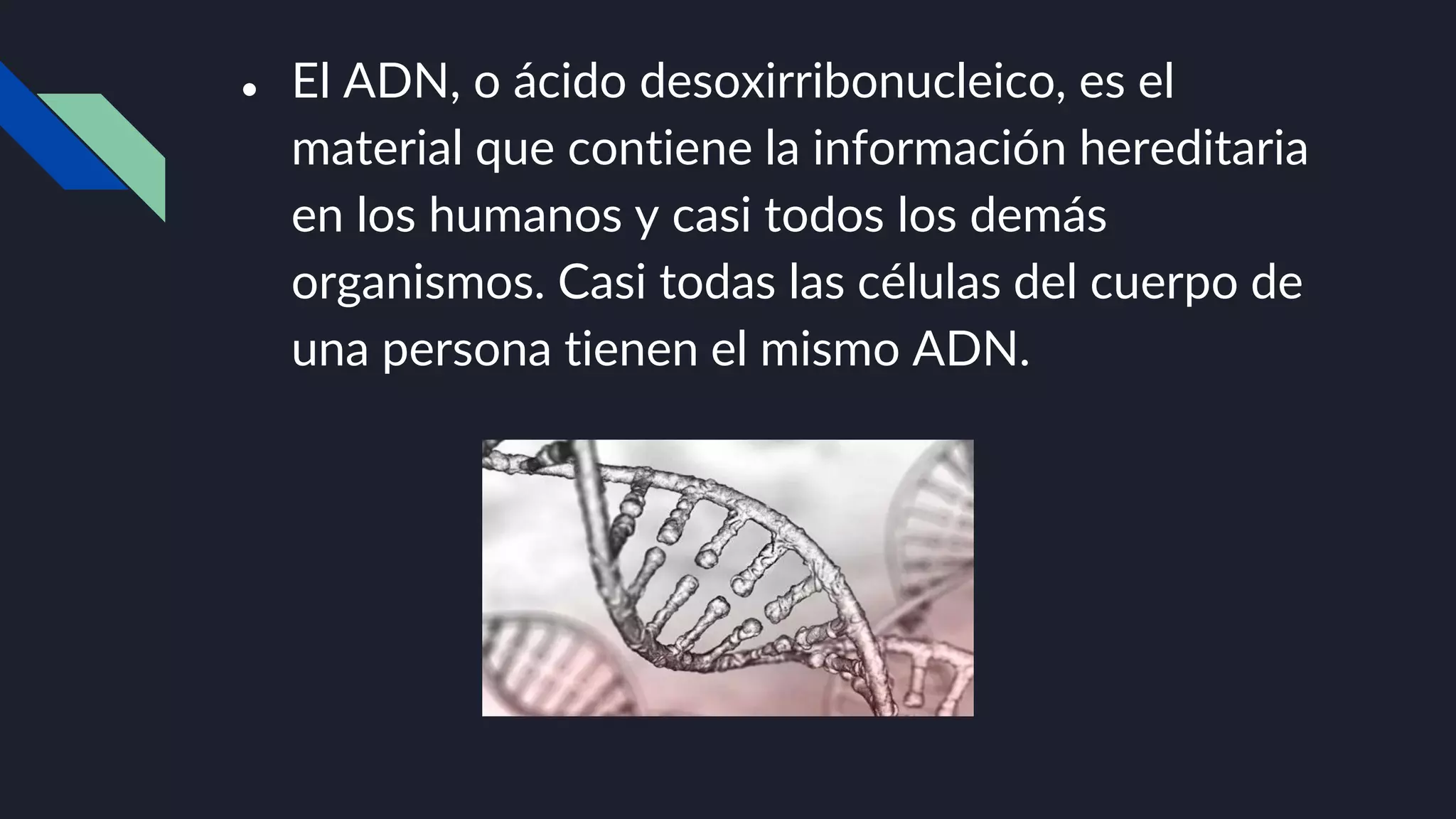 Estructura del ADN | PPT