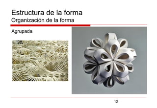 Estructura de la forma | PPT