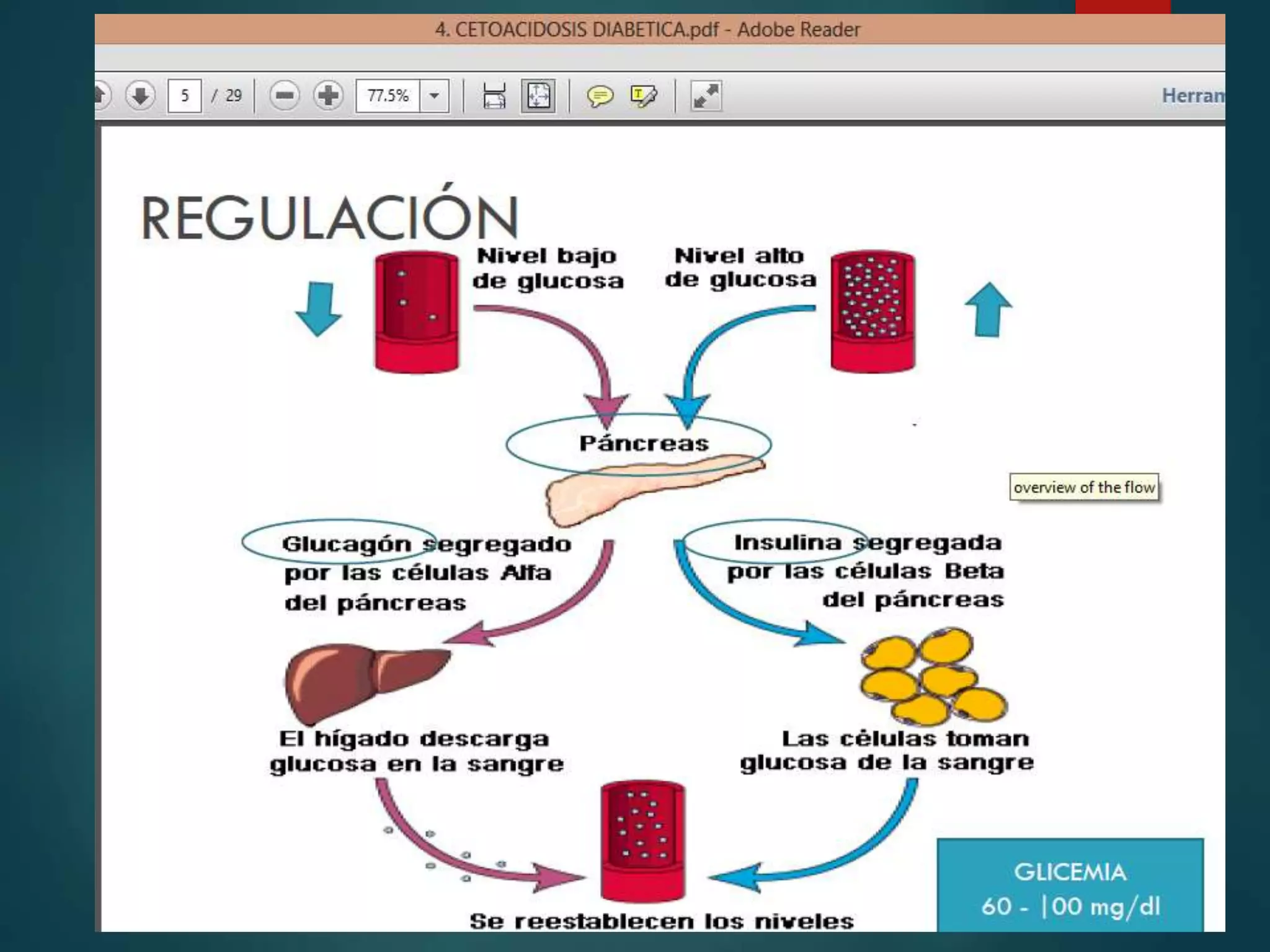 Estructura de la insulina | PPTX