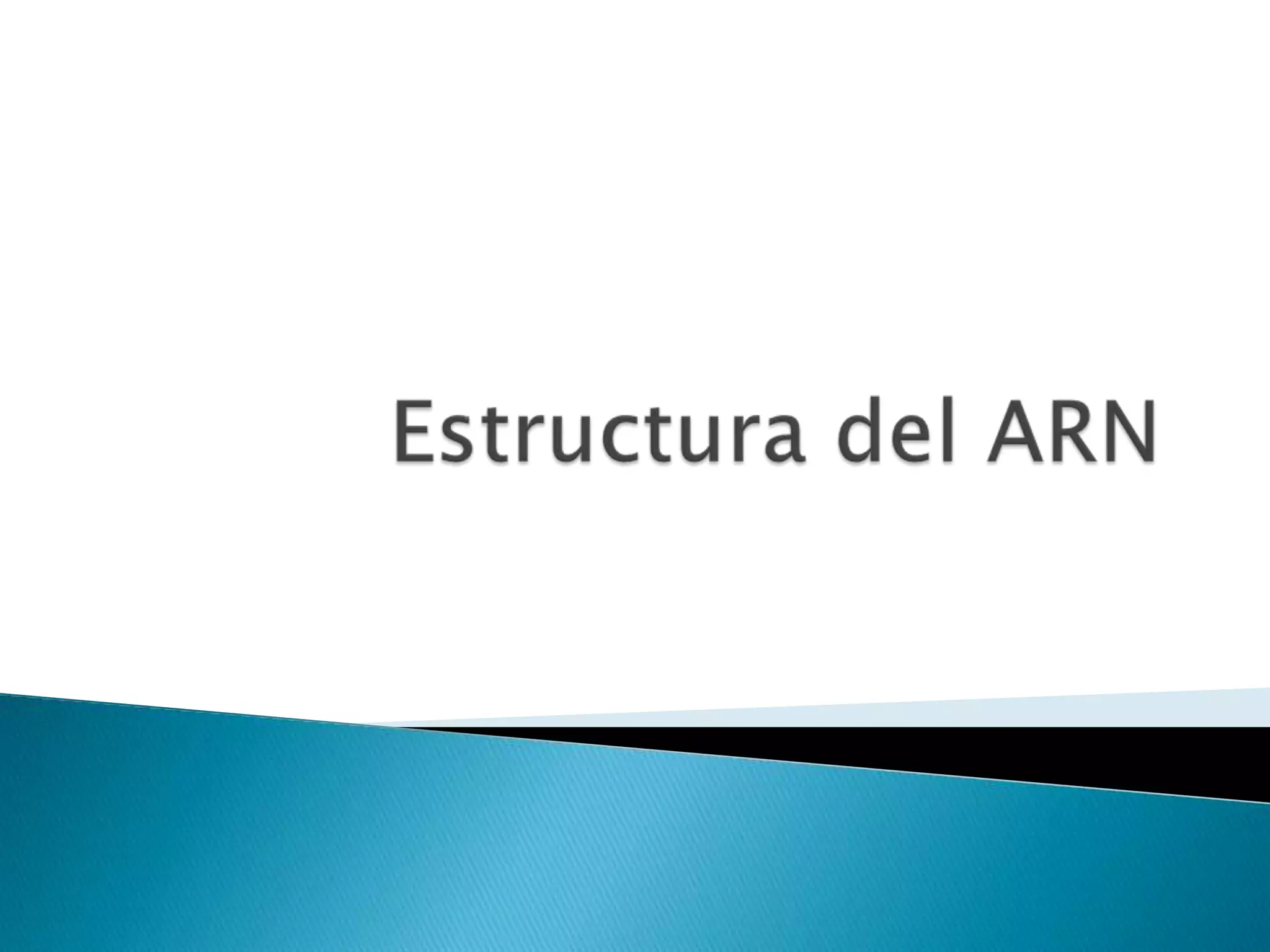Estructura del arn (1) | PPTX