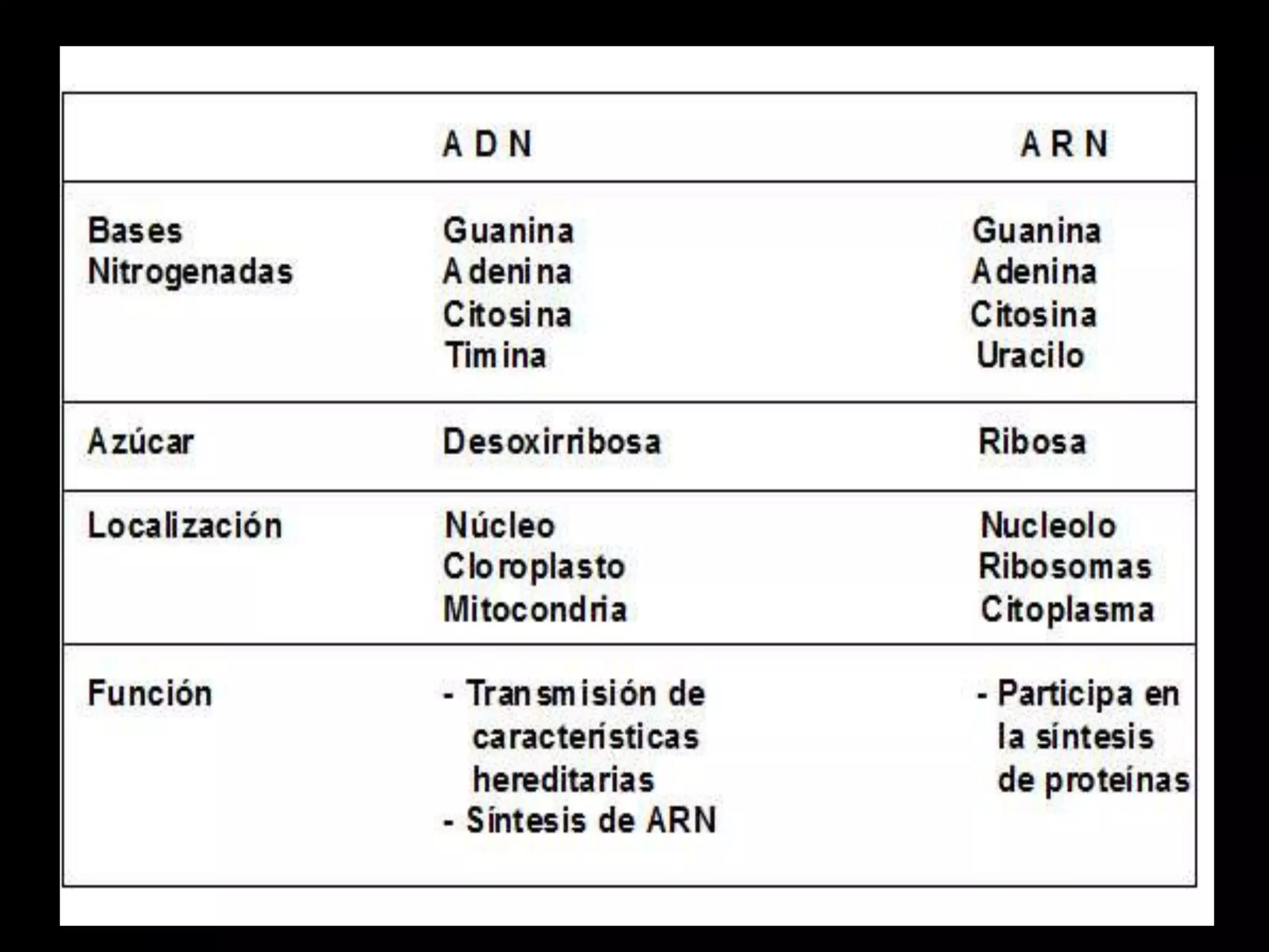 Estructura del arn_(1) | PPT
