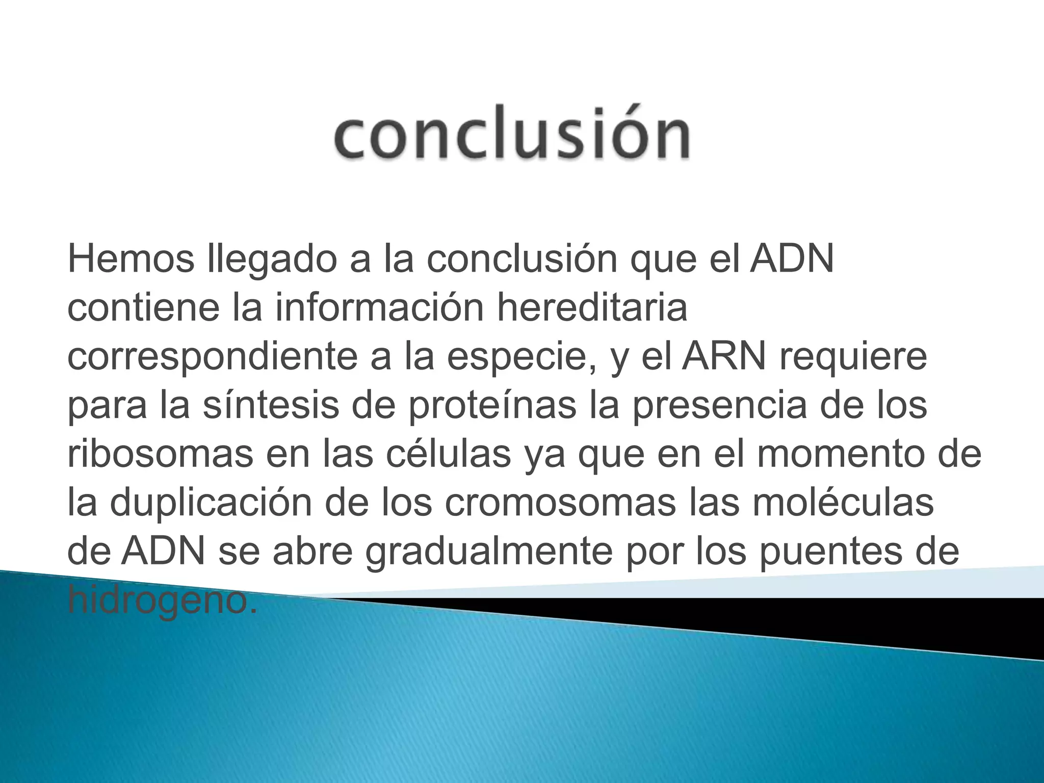 Estructura del arn_(1) | PPT