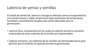 Estructura de la semilla por Dave LAra | PPTX