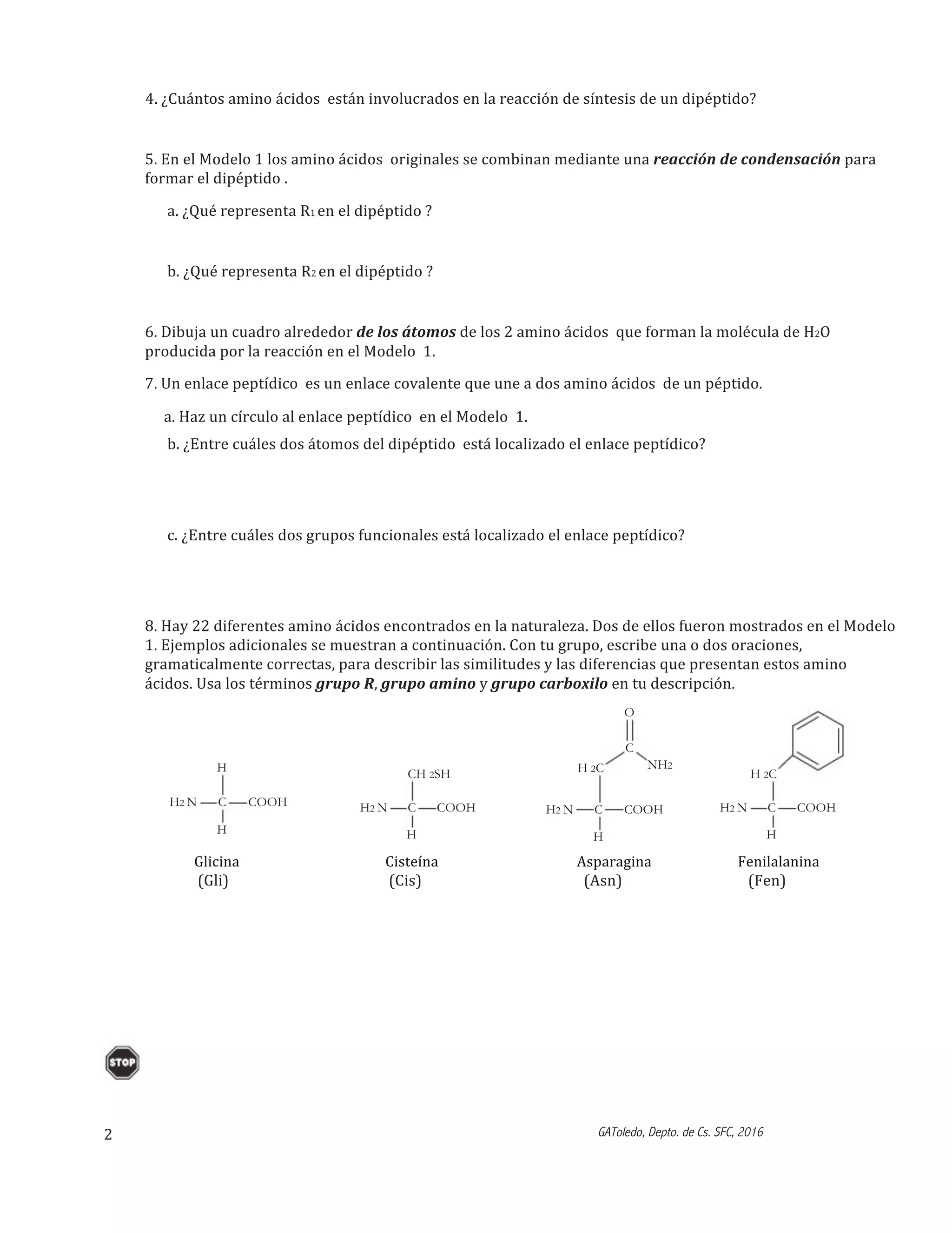 Estructura primaria, secundaria, terciaria y cuaternaria de las ...