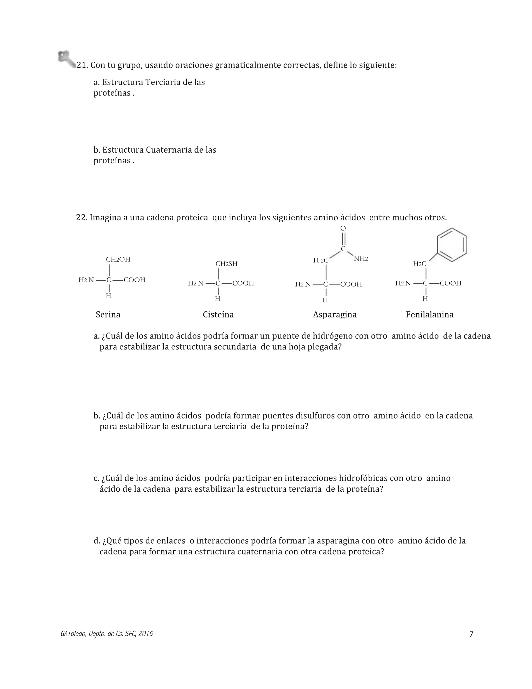 Estructura primaria, secundaria, terciaria y cuaternaria de las ...