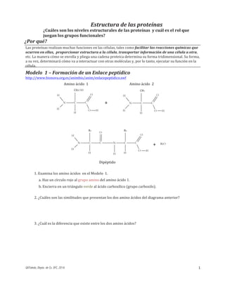 Estructura primaria, secundaria, terciaria y cuaternaria de las ...