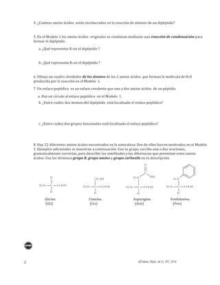 Estructura primaria, secundaria, terciaria y cuaternaria de las ...