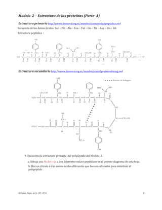 Estructura primaria, secundaria, terciaria y cuaternaria de las ...