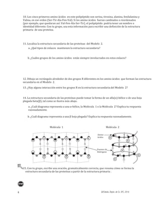 Estructura primaria, secundaria, terciaria y cuaternaria de las ...