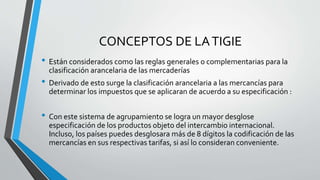 Estructura de la tigie | PPTX
