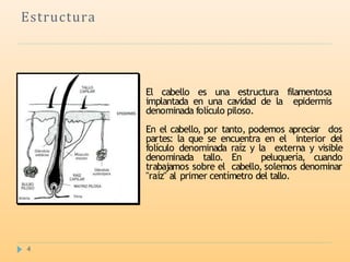 estructuradelcabello-141117064544-conversion-gate01.pptx