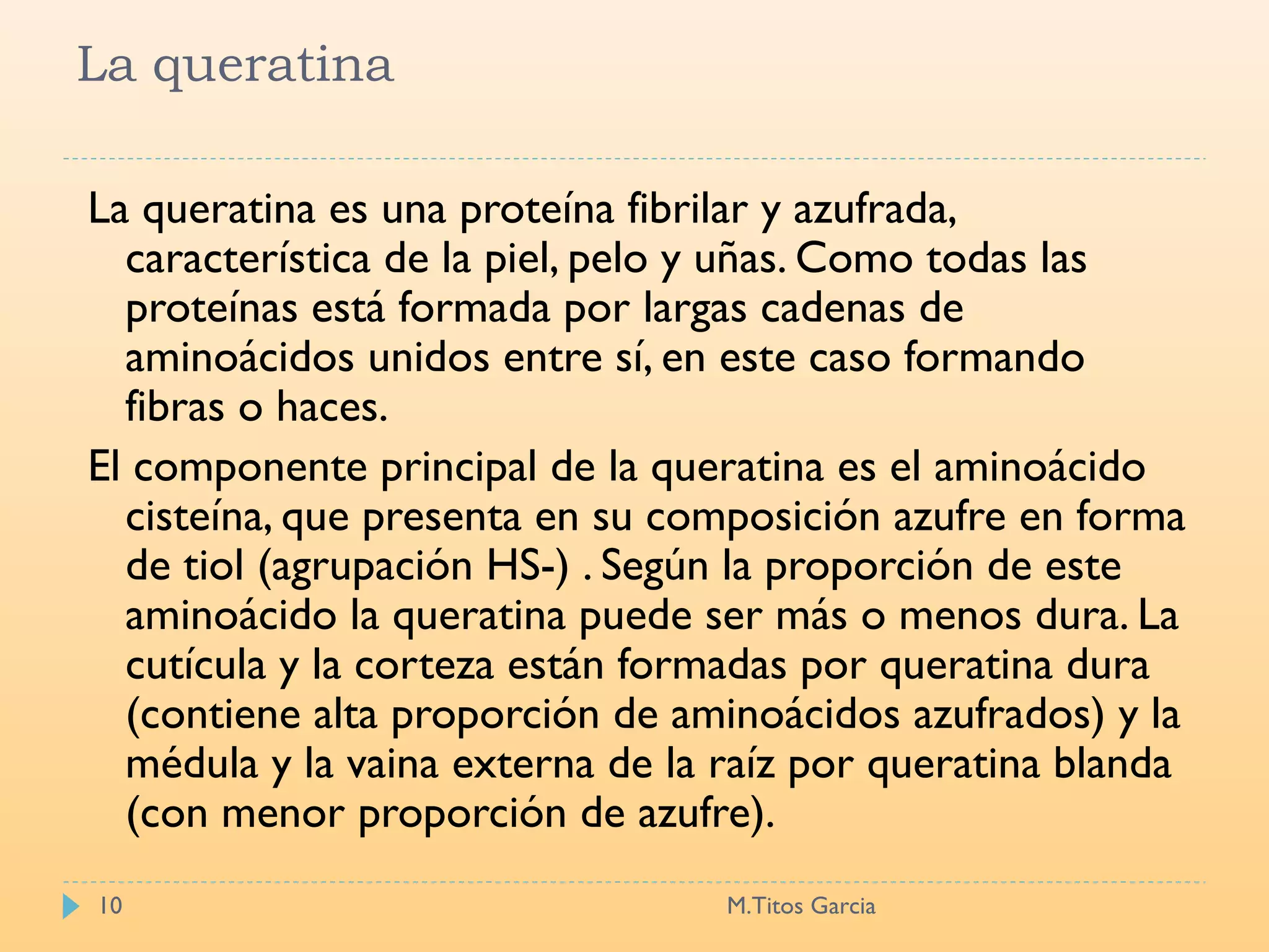Estructura del cabello | PPT