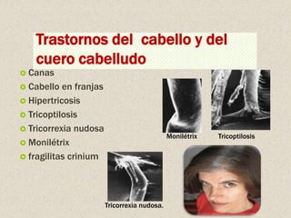 Propiedades de la estructura del cabello.pdf