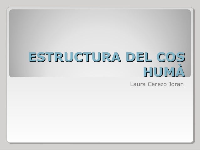 Estructura del cos humà