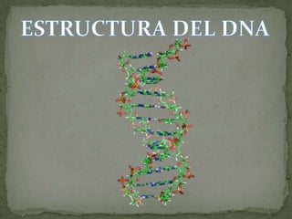 Estructura del dna | PPTX