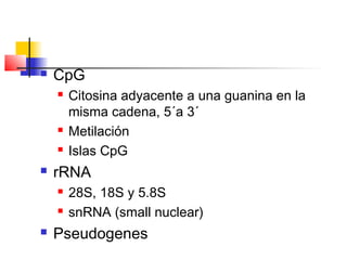 Estructura del DNA | PPT