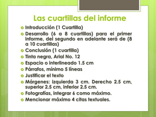 Estructura del informe | PDF