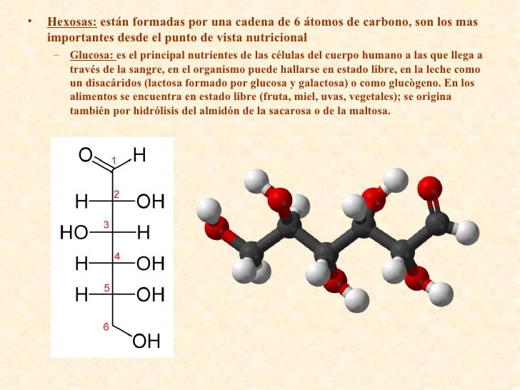 Estructura de los carbohidratos Estructura de los carbohidratos