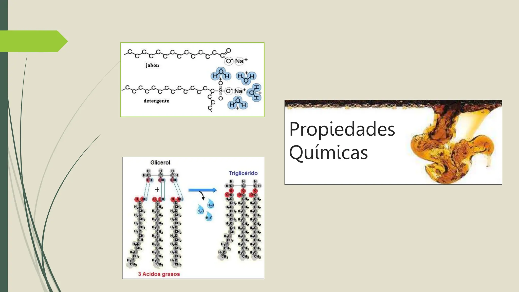 estructura de los lipidos como base para realización ergonomica | PPT