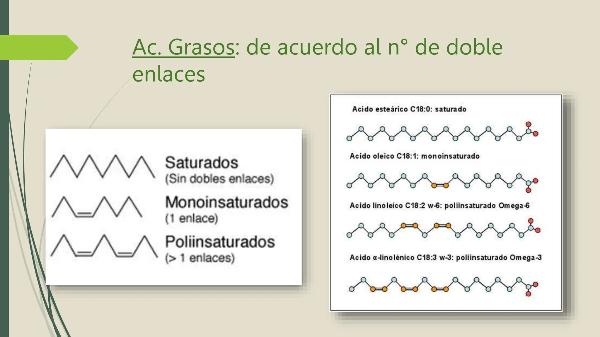 estructura de los lipidos como base para realización ergonomica | PPT