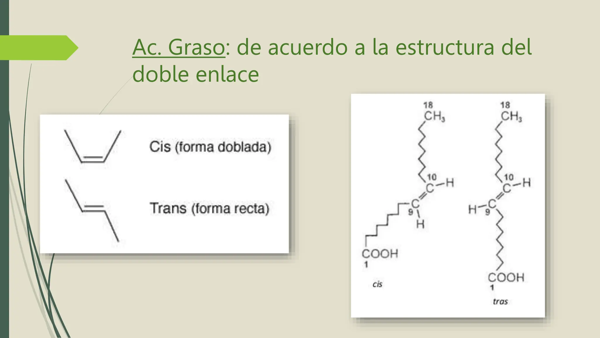 estructura de los lipidos como base para realización ergonomica | PPT