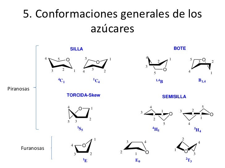Estructura De Los MonosacáRidos Animado