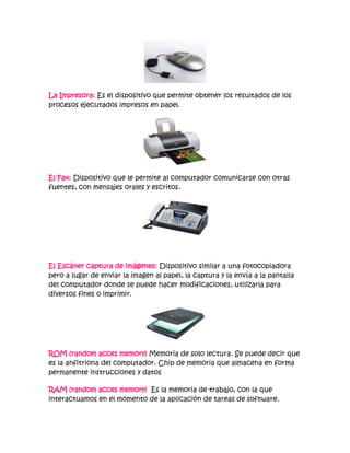 Estructura del pc | DOCX | Computer Peripherals | Computing