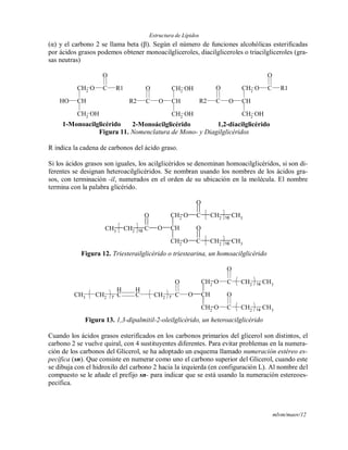 Estructura de Lípidos. | PDF