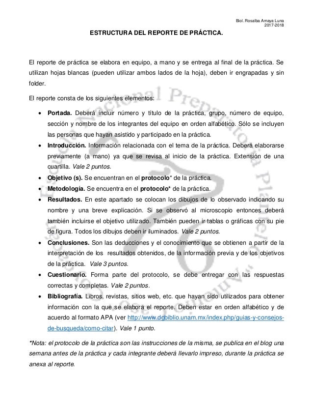 Estructura del reporte
