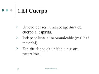 Estructura Del Ser Humano | PPT