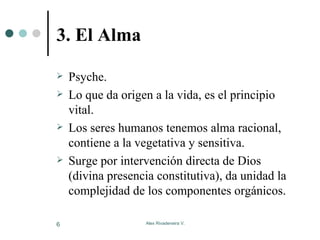 Estructura Del Ser Humano | PPT