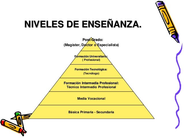 Estructura del sistema educativo