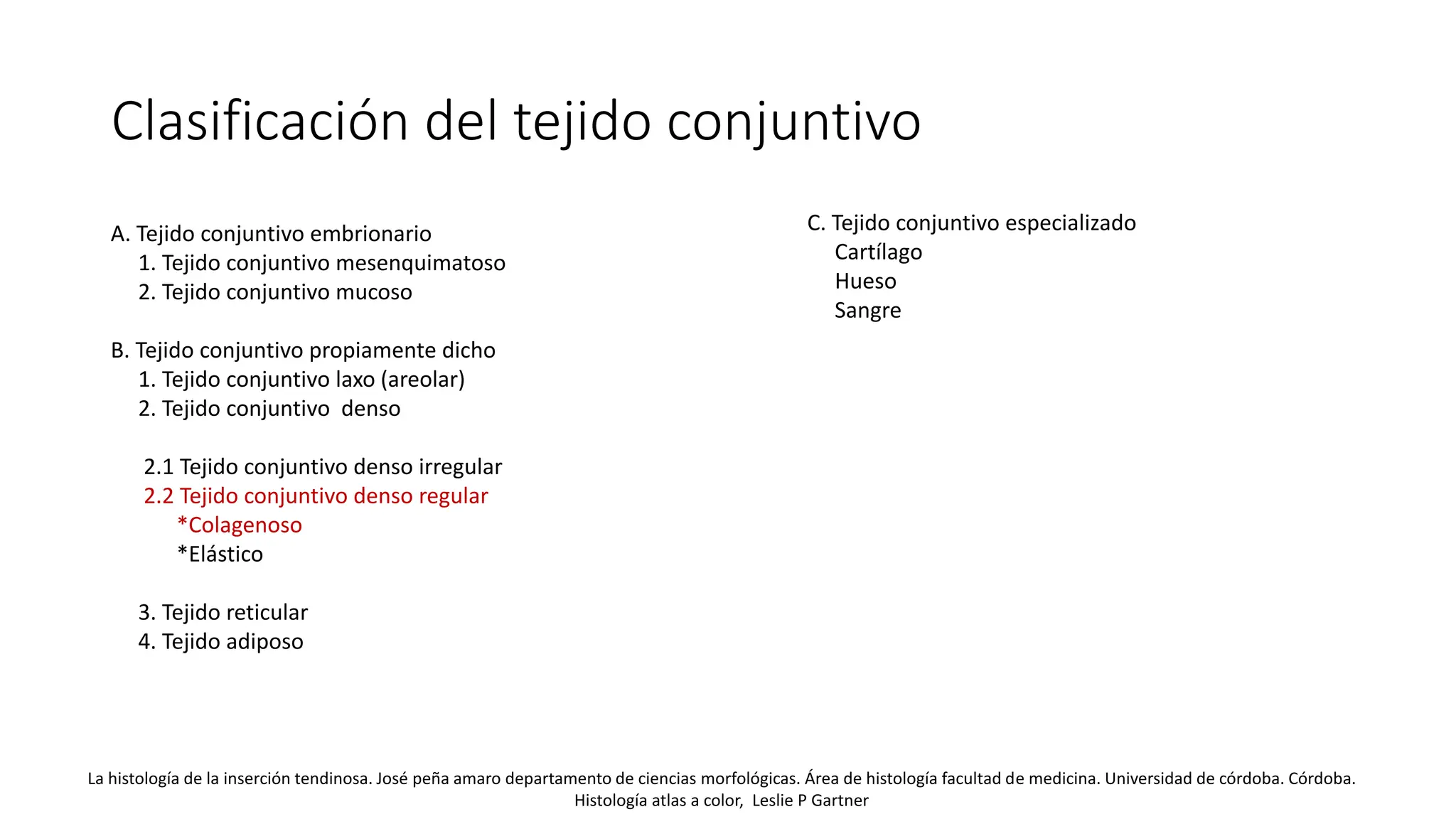 estructura del tendon1.pptx