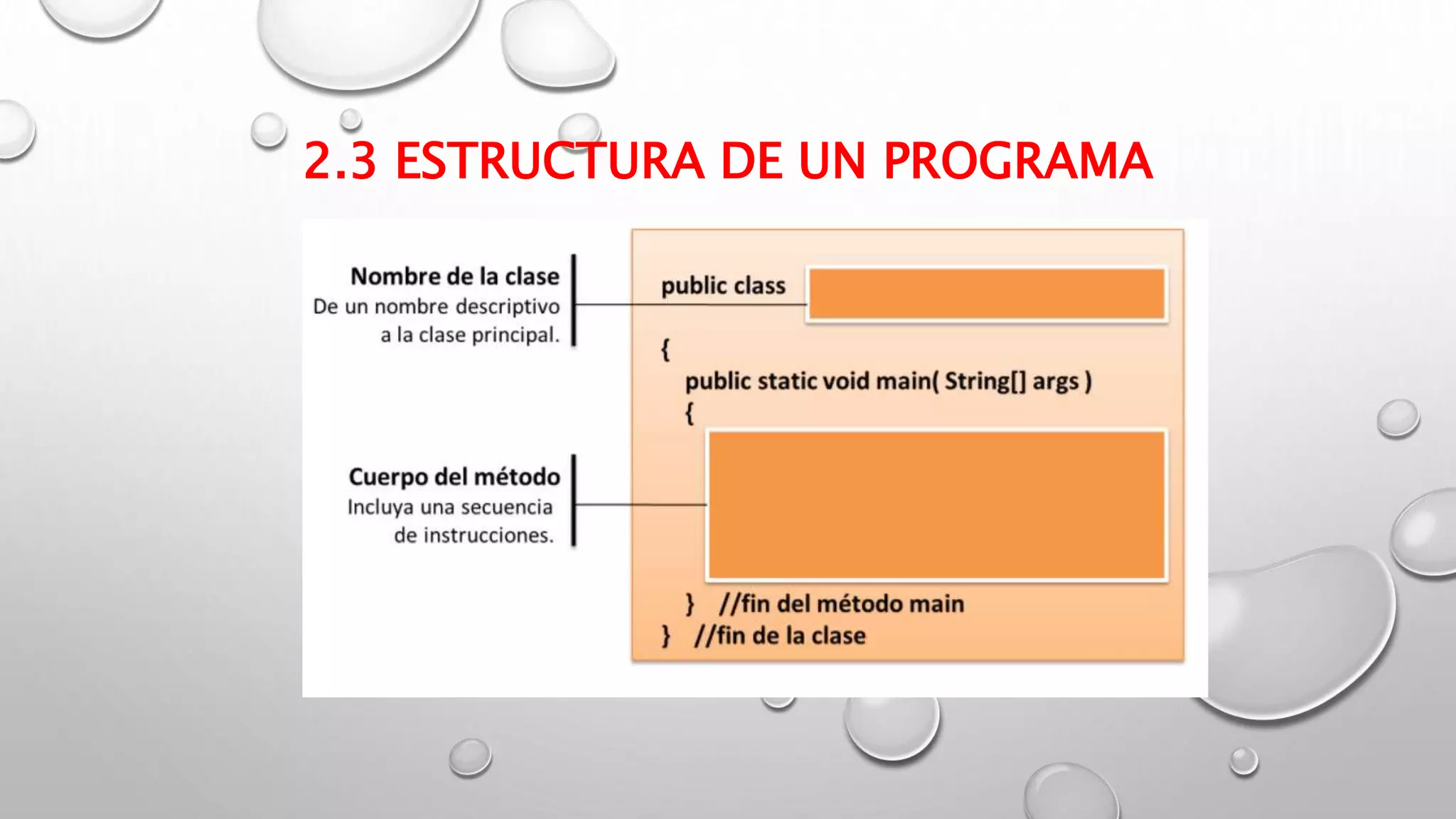 Estructura de un programa | PPSX