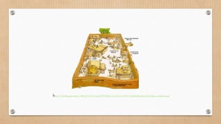 Estructura espacial de las aldeas | PPT