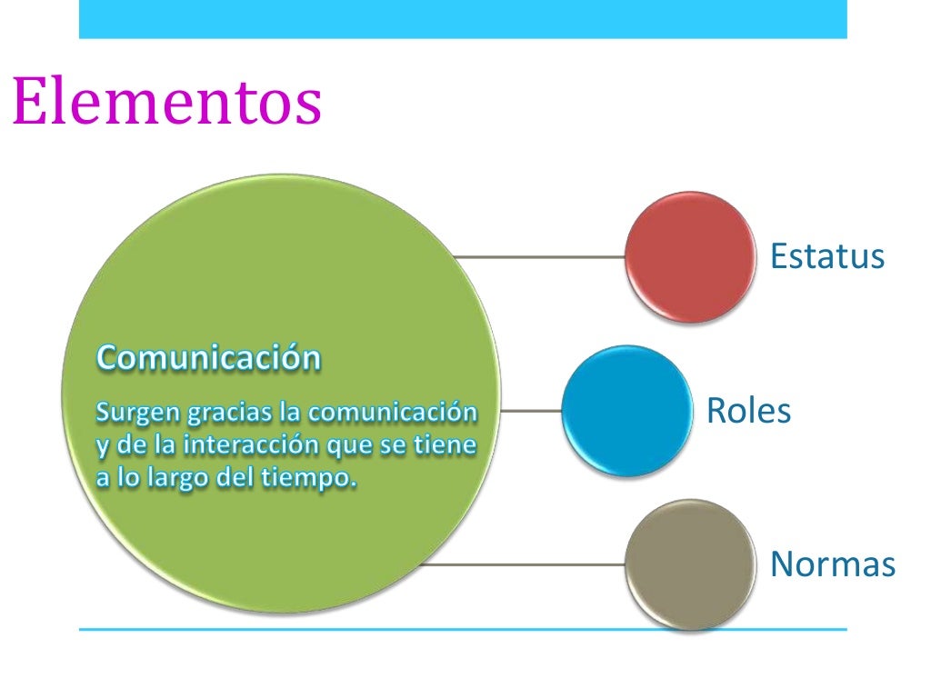Estructura De Grupo: Estatus, Roles Y Normas – JSHY