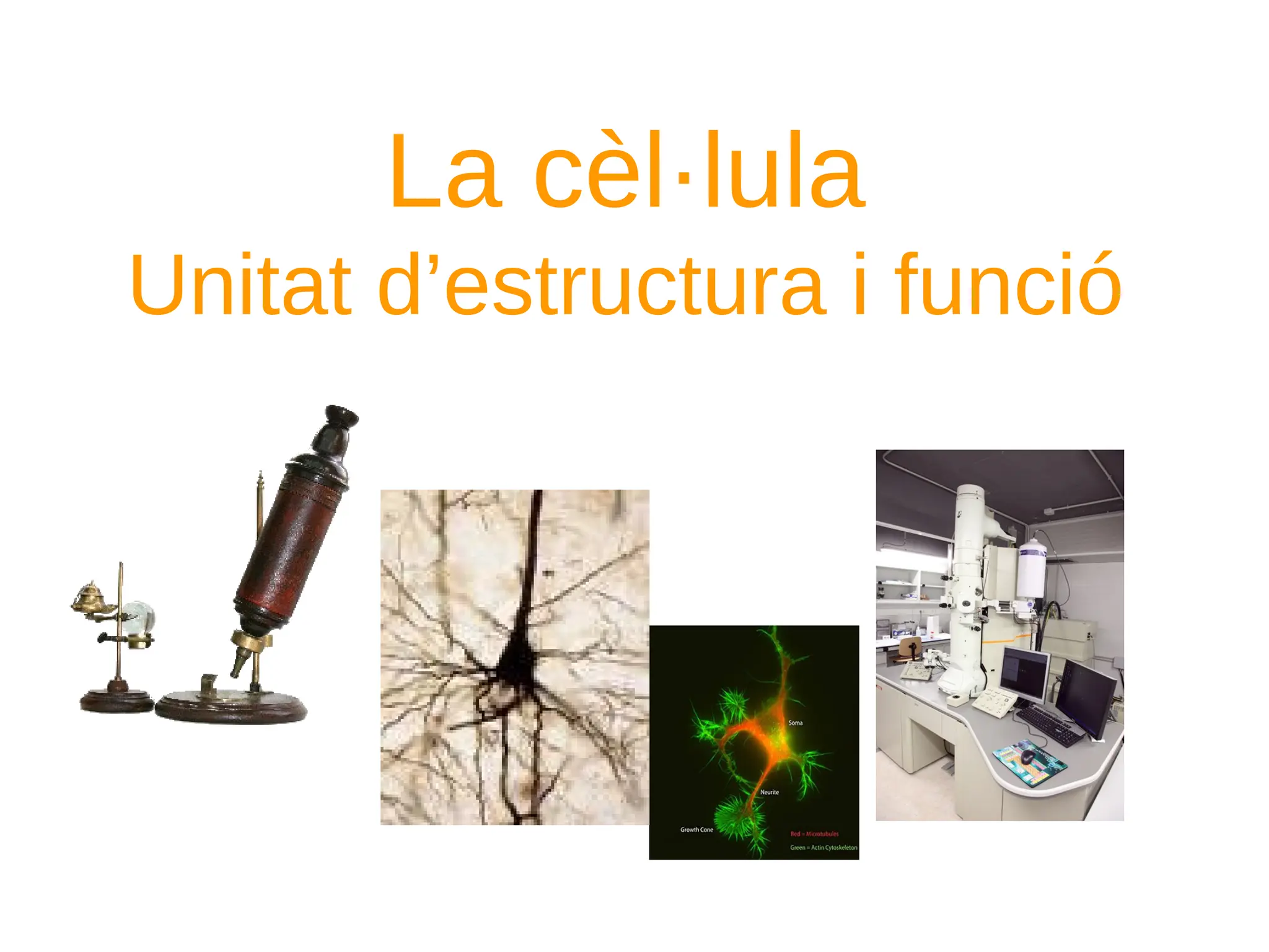 Estructura i funció cel·lular y paso.pdf