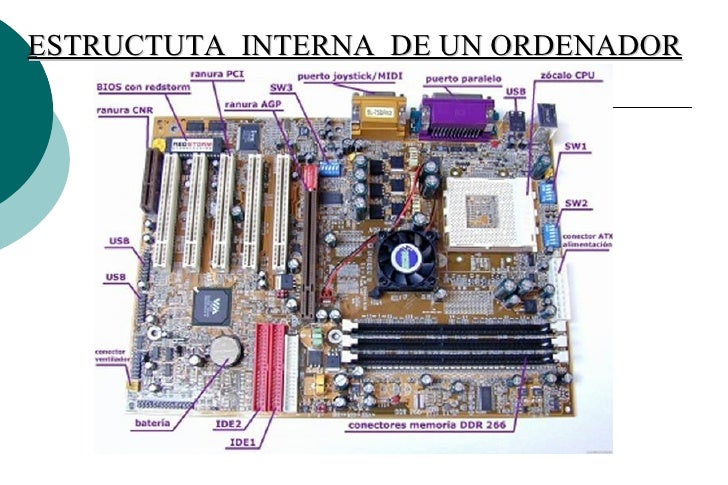 Estructura Interna De Una Computadora - ajore Estructura Interna De Una Computadora - ajore