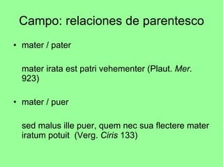 Estructura Léxica Y ConstruccióN Conceptual | PPT