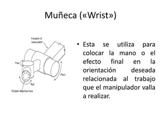 EstructuraMecanica de los Robots.ppt