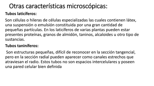 Estructura microscopica de latifoliadas | PPTX