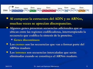 Estructura molecular de los genes | PPT