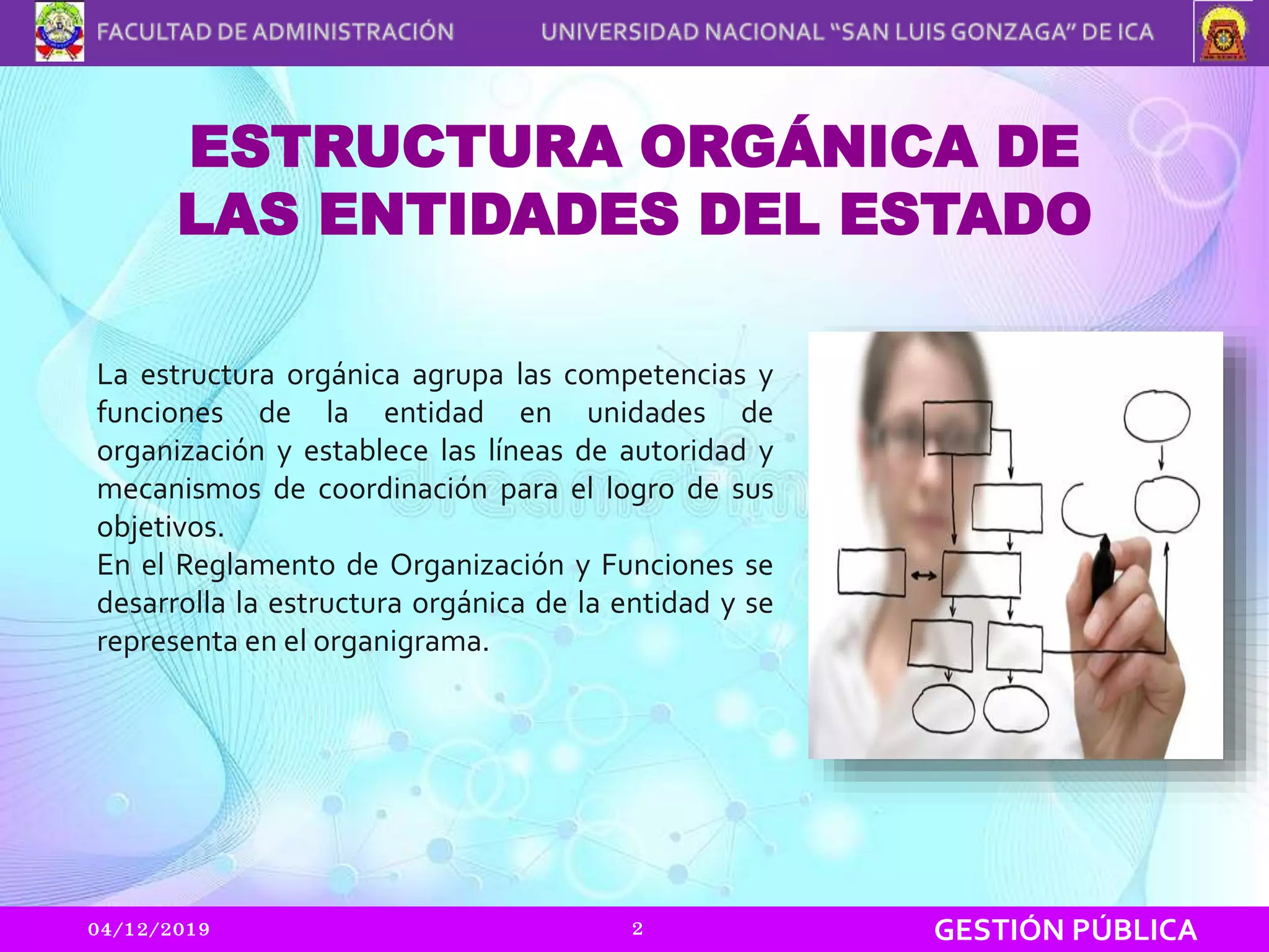 Estructura organica | PPT