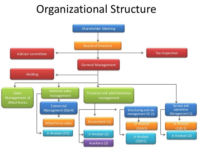 Estructura organizacional