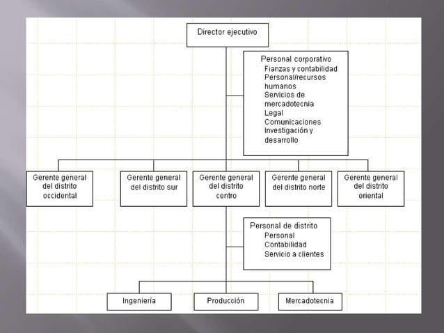 Estructura organizacional geográfica | PPT