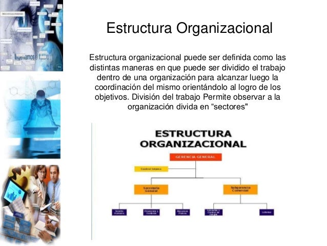 Estructura organizacional (jerarquías y organigramas)